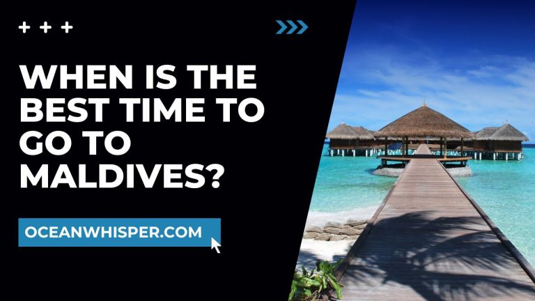 When Is the Best Time to Go to Maldives? Complete Guide 2022